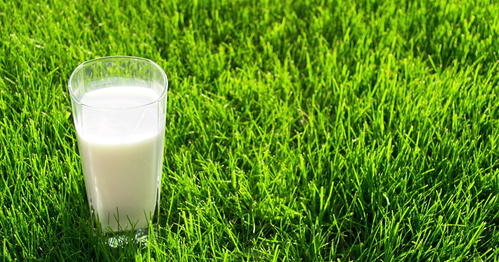 UDC Trading - UDC Milk